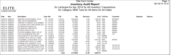 Inventory Audit Report